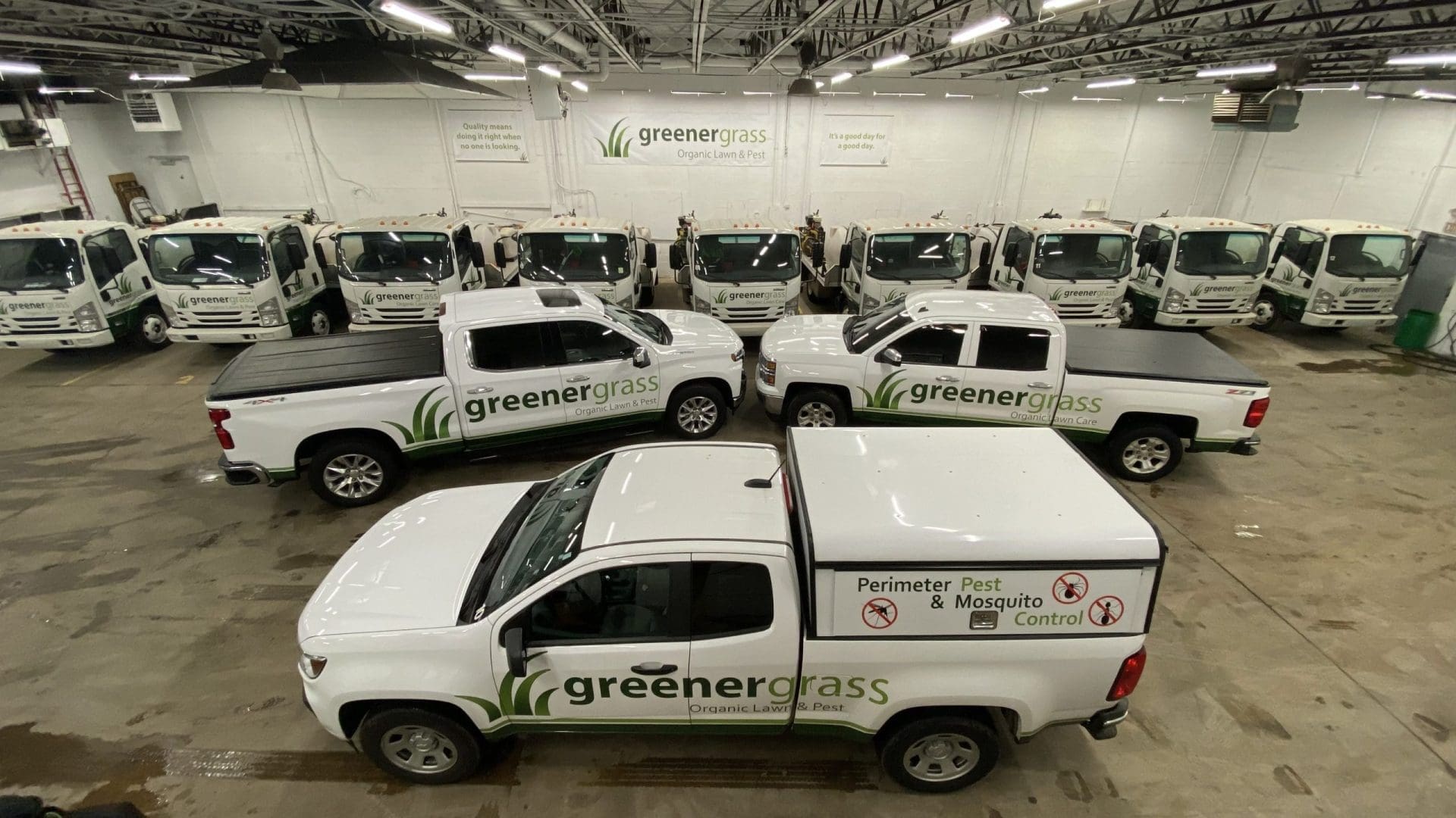 Greengrass Pest Control Services: Eco-Friendly Solutions